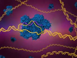 How AI and machine learning revolutionize CRISPR technology | HS Insider